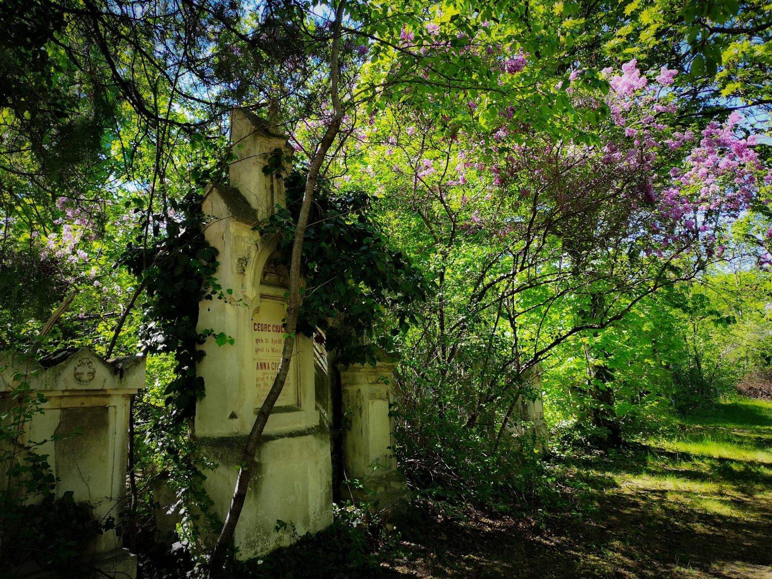 Guide & Map to Mozart Grave Site Location - St Marx Cemetery, Vienna
