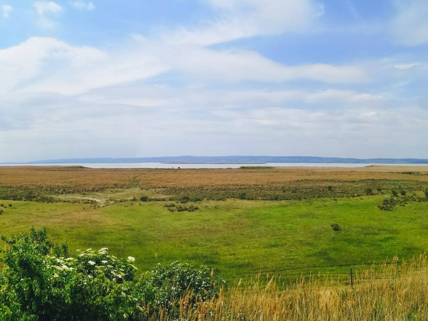 Biking & Things to do in Neusiedler See, Burgenland - Connecting Vienna