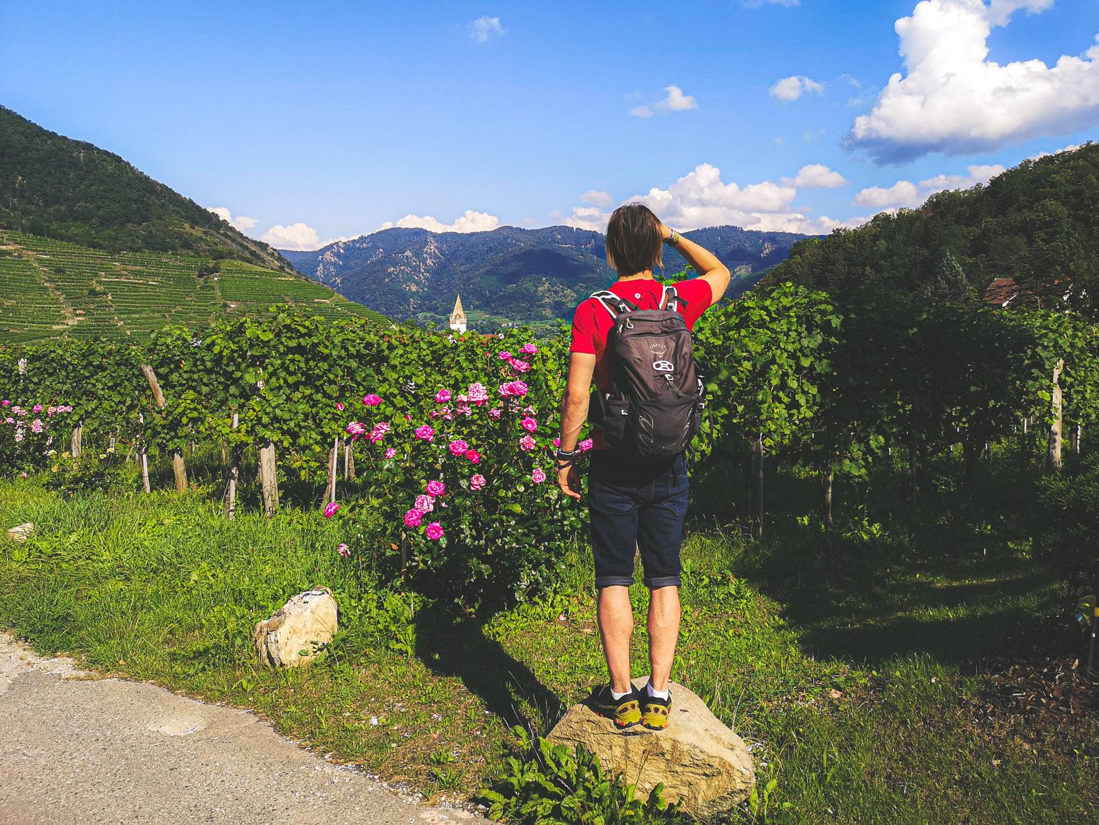 Wachau World Heritage Trail Guide & Map - Connecting Vienna