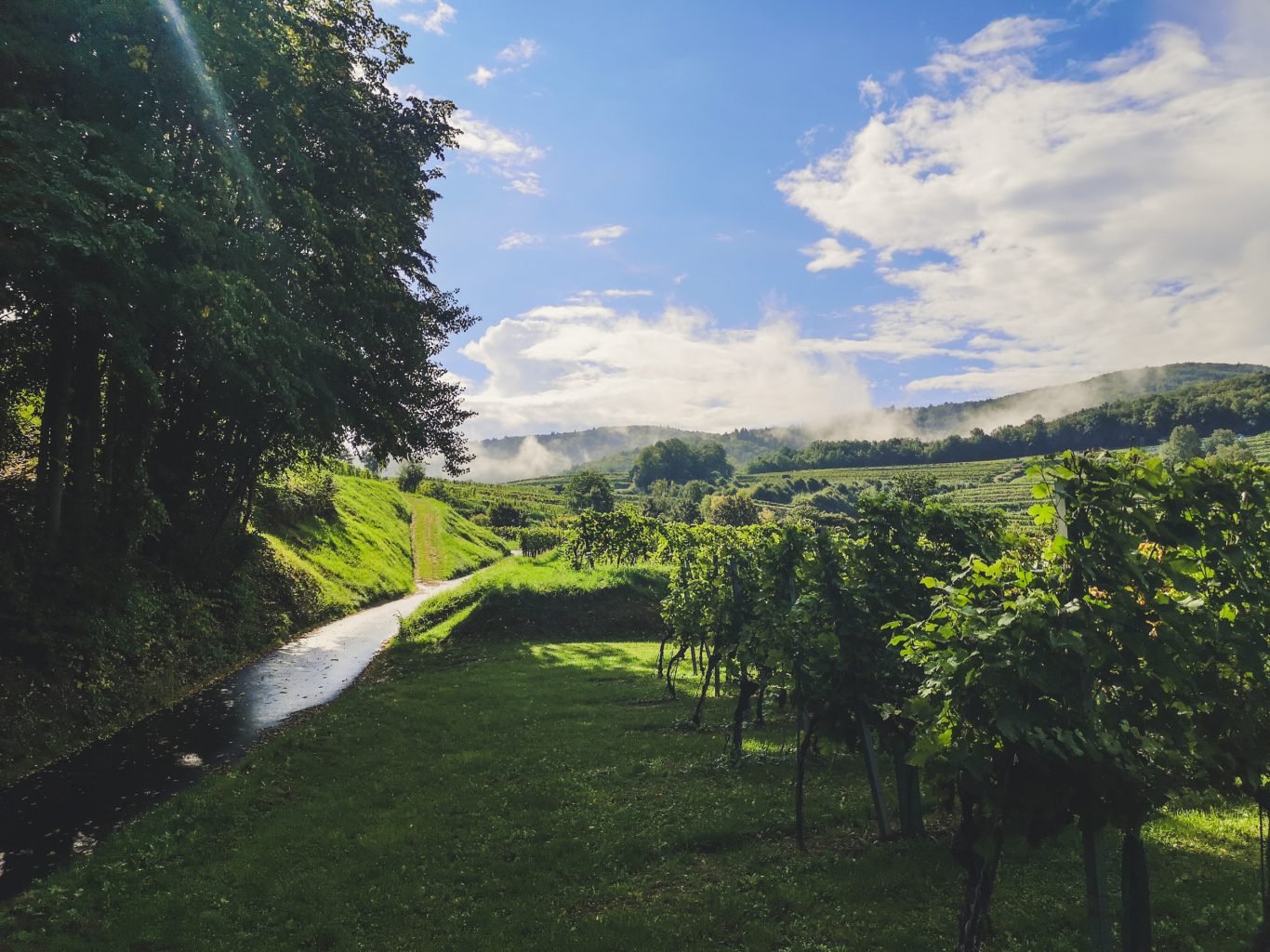 Wachau World Heritage Trail Guide & Map - Connecting Vienna