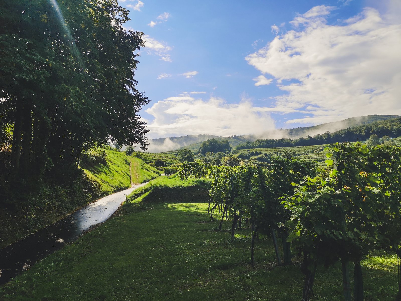 Wachau World Heritage Trail Guide & Map - Connecting Vienna