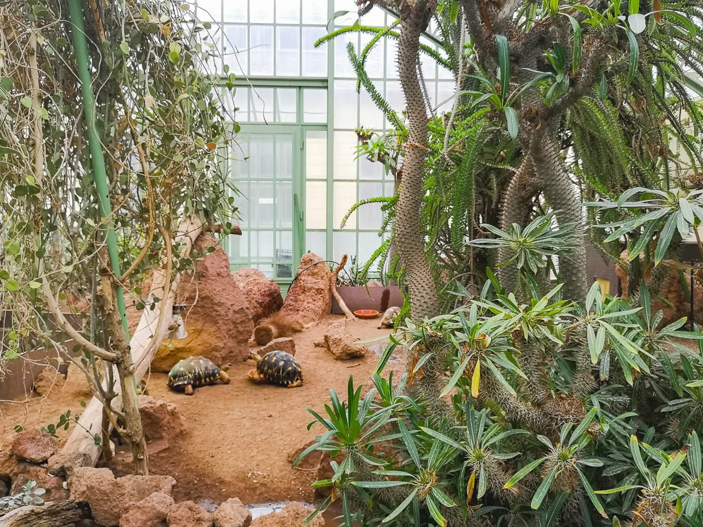 Local’s Guide to Hietzing, the 13th District of Vienna - Connecting Vienna