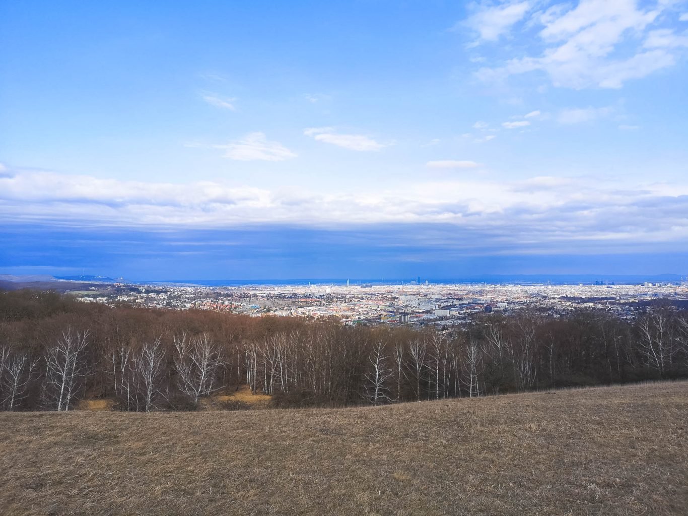 Local’s Guide to Hietzing, the 13th District of Vienna - Connecting Vienna