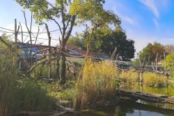 Local’s Guide to Hietzing, the 13th District of Vienna - Connecting Vienna