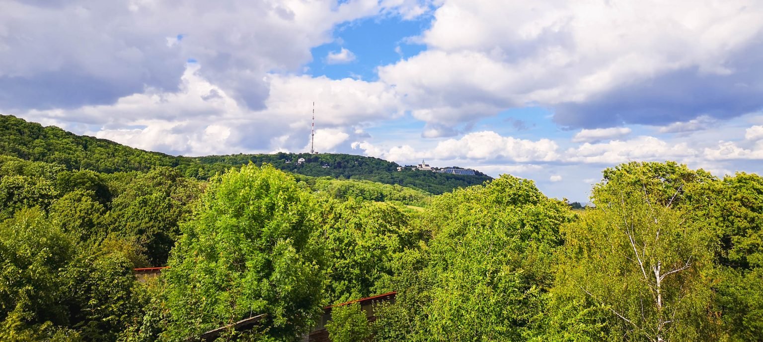 Local's Guide to Döbling, the 19th District of Vienna - Connecting Vienna