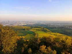 Local's Guide to Döbling, the 19th District of Vienna - Connecting Vienna