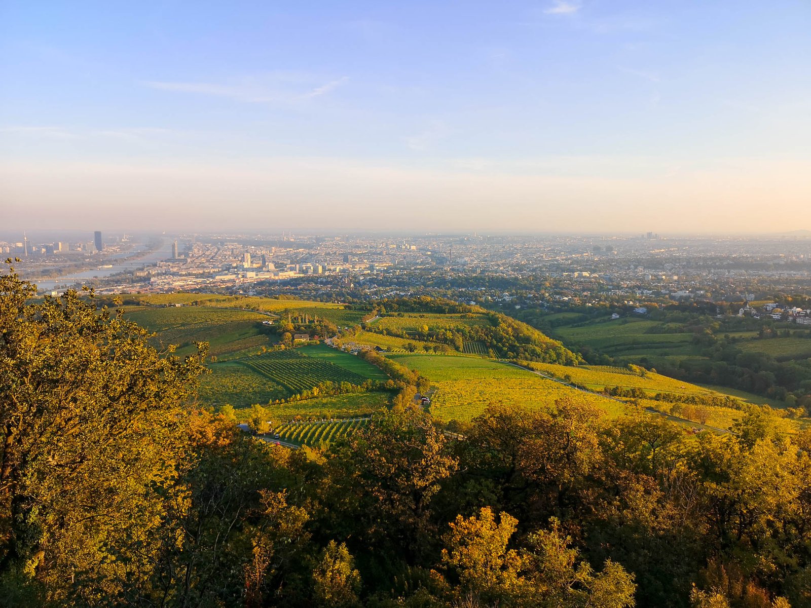 Local's Guide to Döbling, the 19th District of Vienna - Connecting Vienna