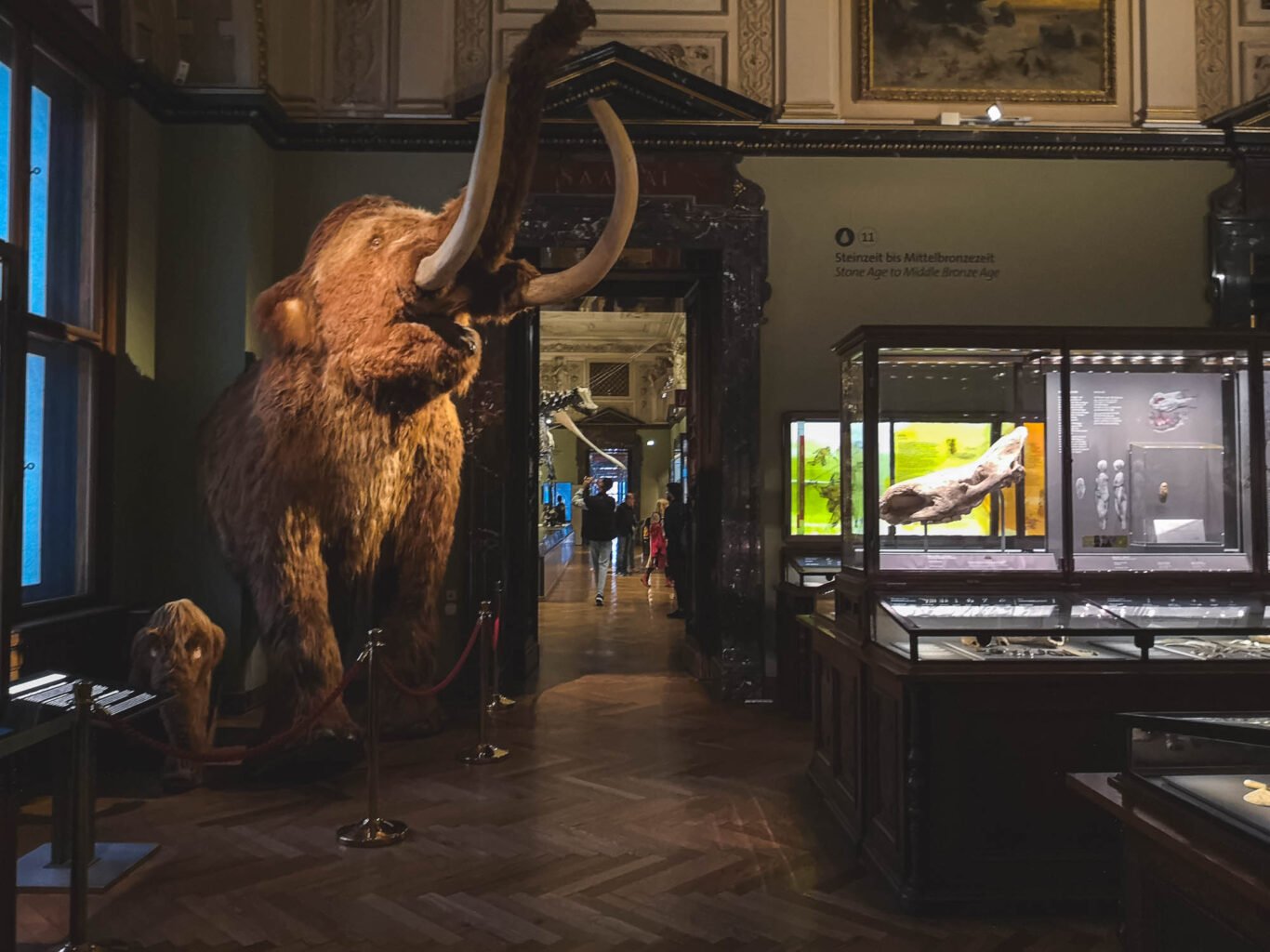 Natural History Museum Vienna: Imperial Collections & World-Class ...